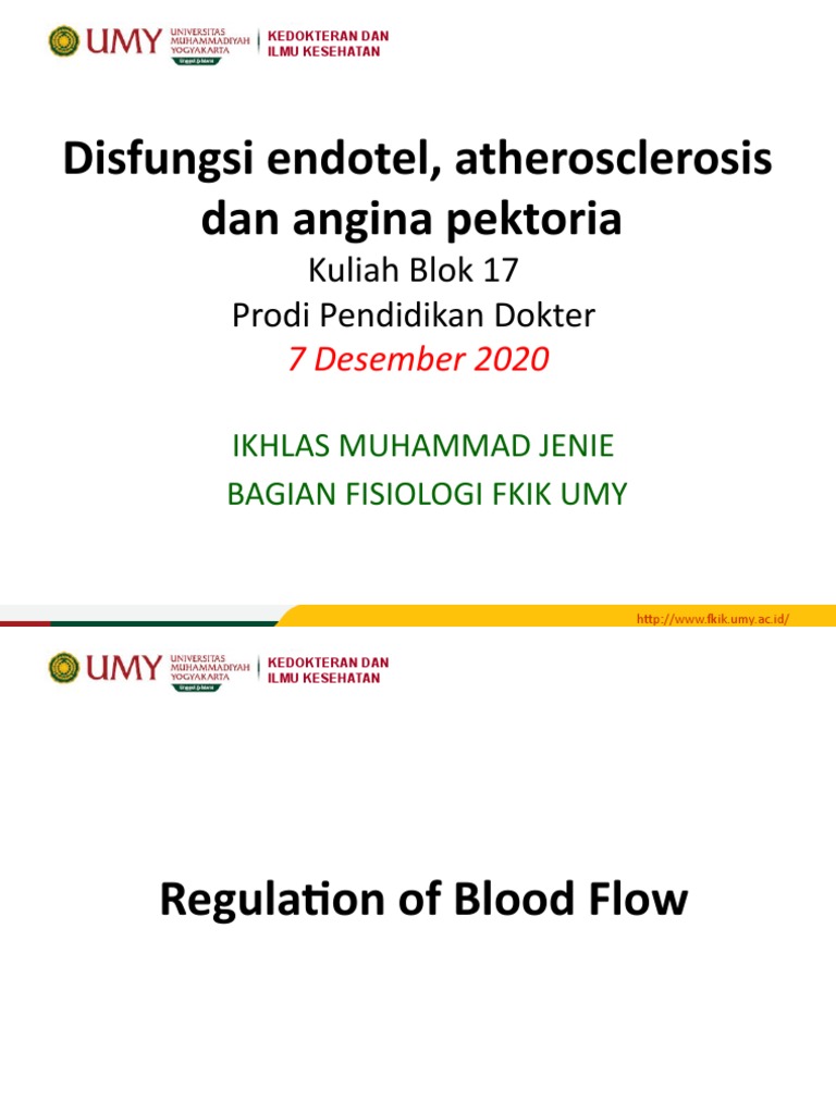 Kuliah Blok 17 Disfungsi Endotel Atherosklerosis Angina Pectoris | PDF ...