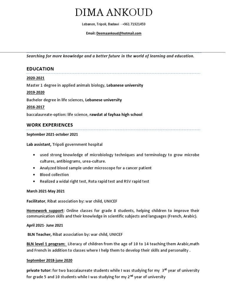 Dima Ankoud cv.1 | PDF | Educational Technology | Learning