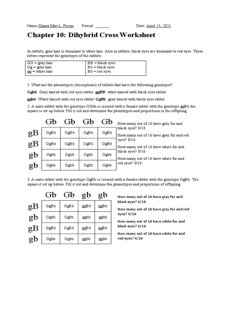 Dihybrid Cross Worksheet