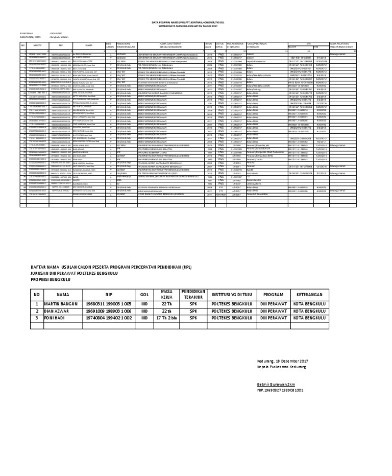 Pegawai Nakes Pdf