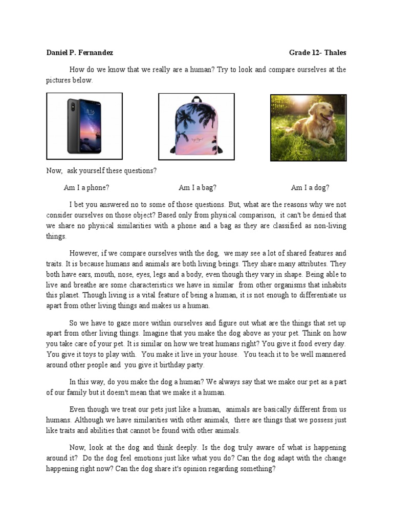 What Makes Us Human | PDF | Natural Selection | Dogs