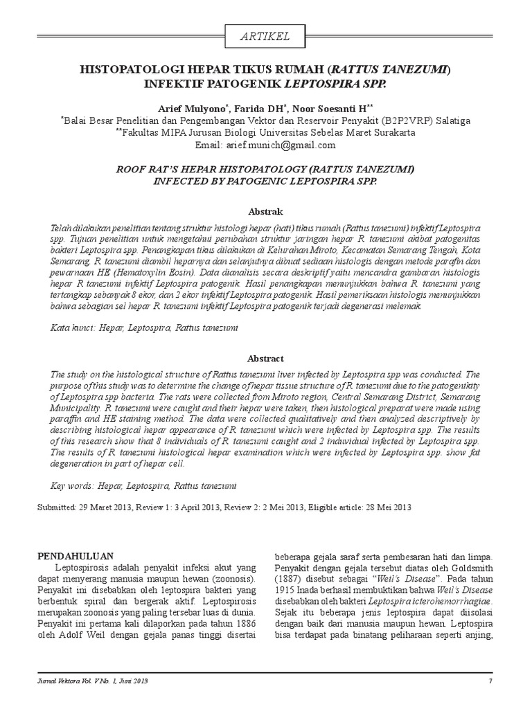 Histopatologi Hepar Tikus Rumah (Rattus Tanezumi) | PDF | Medical ...