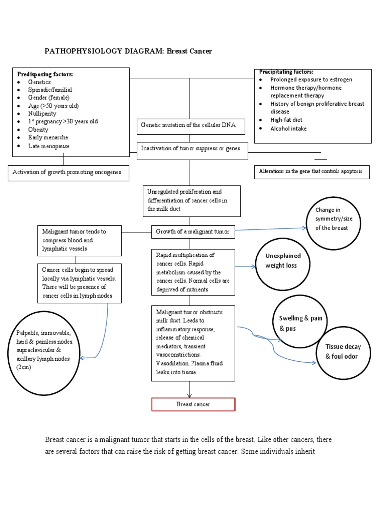 Pathophysiology Diagram: Breast Cancer: Predisposing Factors ...
