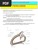 Anatomie et fonctions du péricarde | PDF | Aorte | Cœur