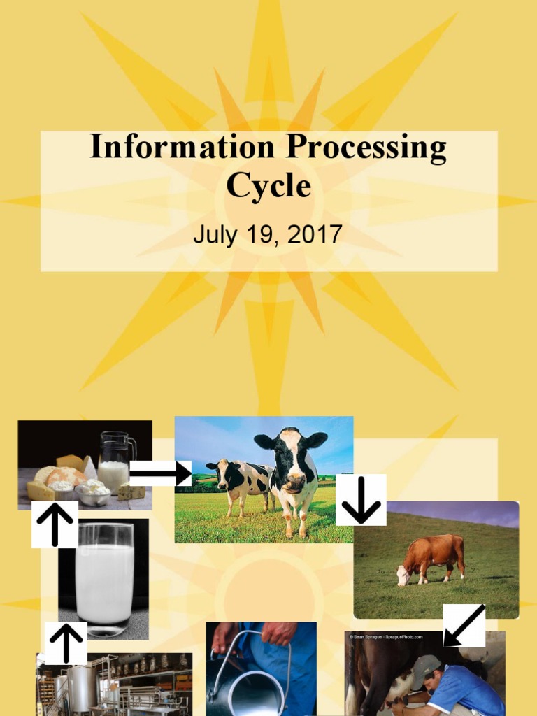 Information Processing Cycle | PDF | Business | Cooking, Food & Wine