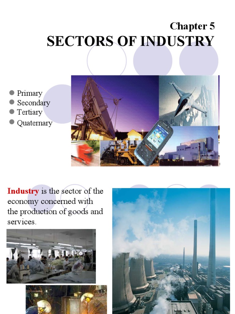 Chapter 5 Industry Sectors | PDF | Tertiary Sector Of The Economy | Cotton