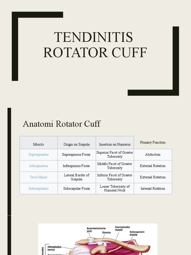Rotator Cuff Tendinitis Overview | PDF | Shoulder | Clinical Medicine
