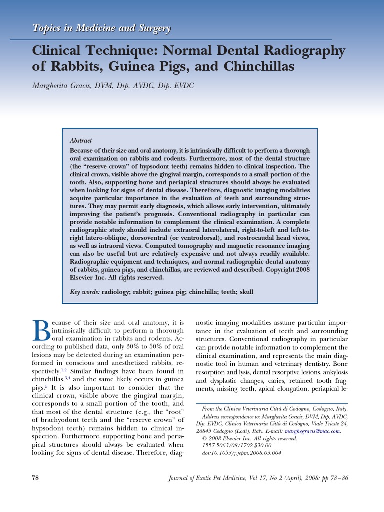 Normal Dental Radiography in Rabbits | PDF | Tooth | Dental Anatomy