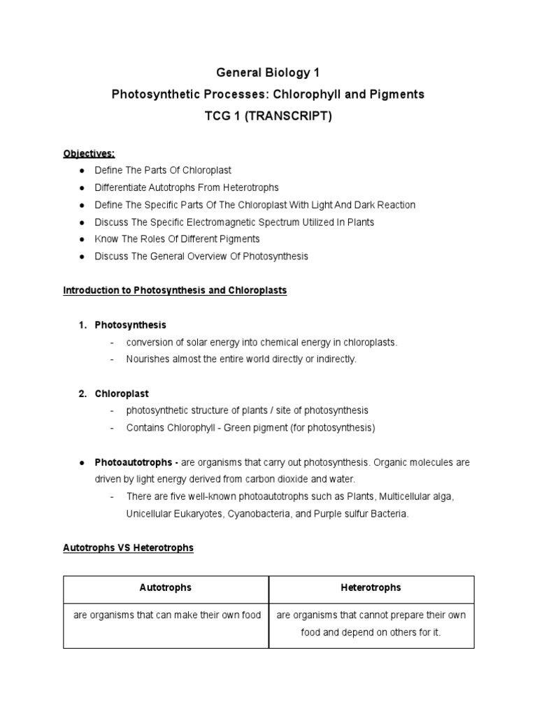 Chloroplast Function in Photosynthesis | PDF | Photosynthesis | Chloroplast