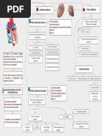 Inervación Del Corazón | PDF | Corazón | Neuroanatomía