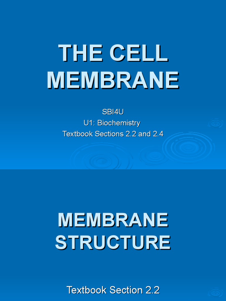 Cell Membrane - Slides | PDF | Cell Membrane | Cell (Biology)
