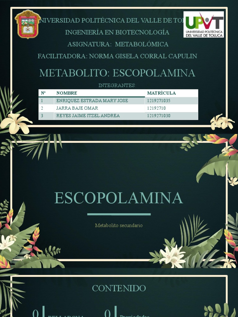 ESCOPOLAMINA | PDF | Drogas