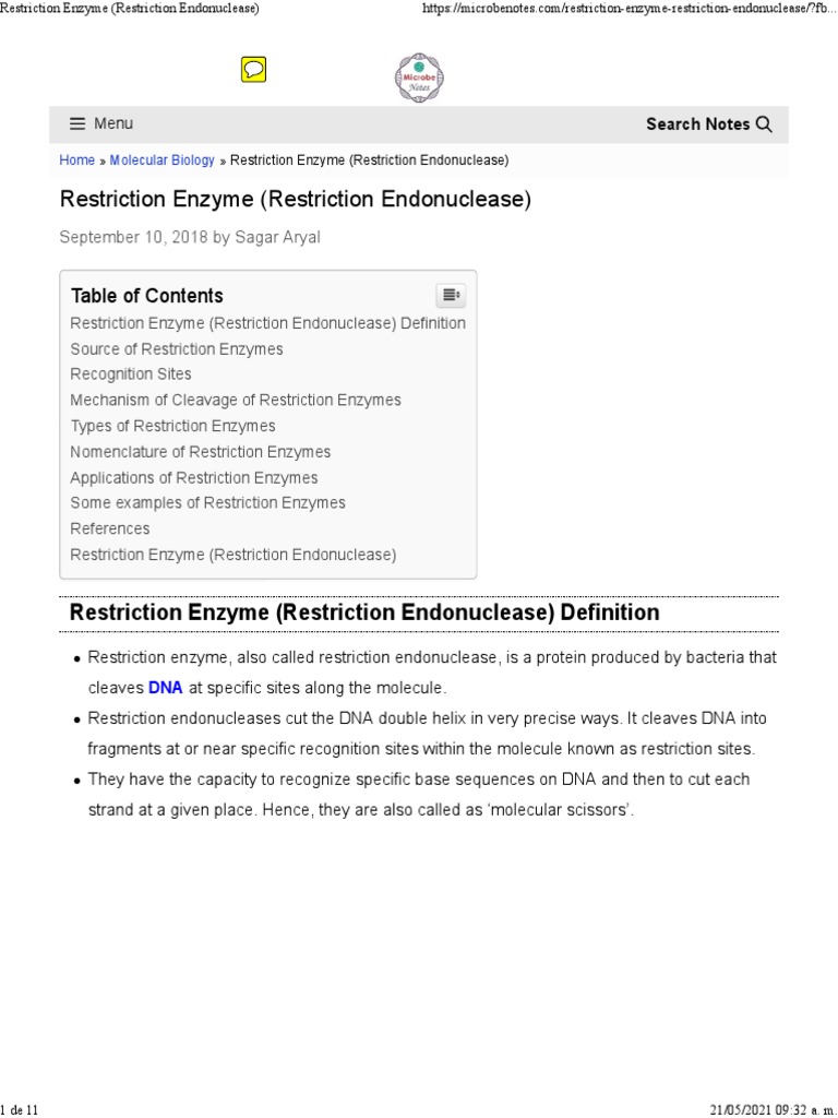 Restriction Enzyme (Restriction Endonuclease) | PDF | Restriction ...