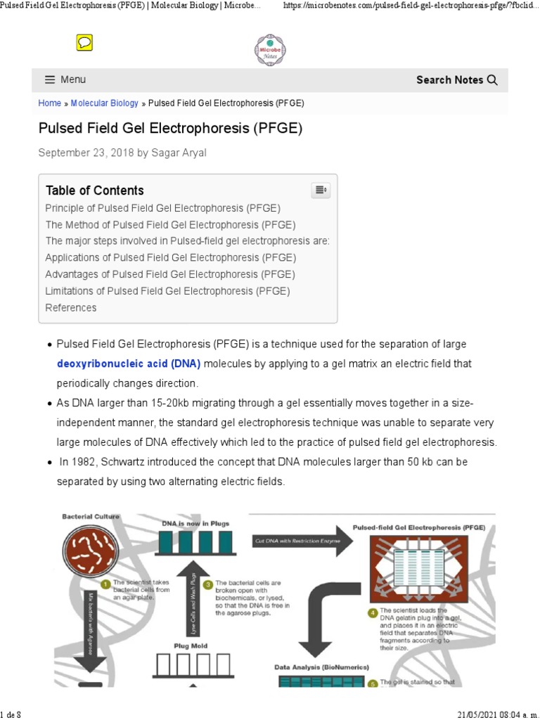 Pulsed Field Gel Electrophoresis (PFGE) Molecular Biology Microbe Notes ...