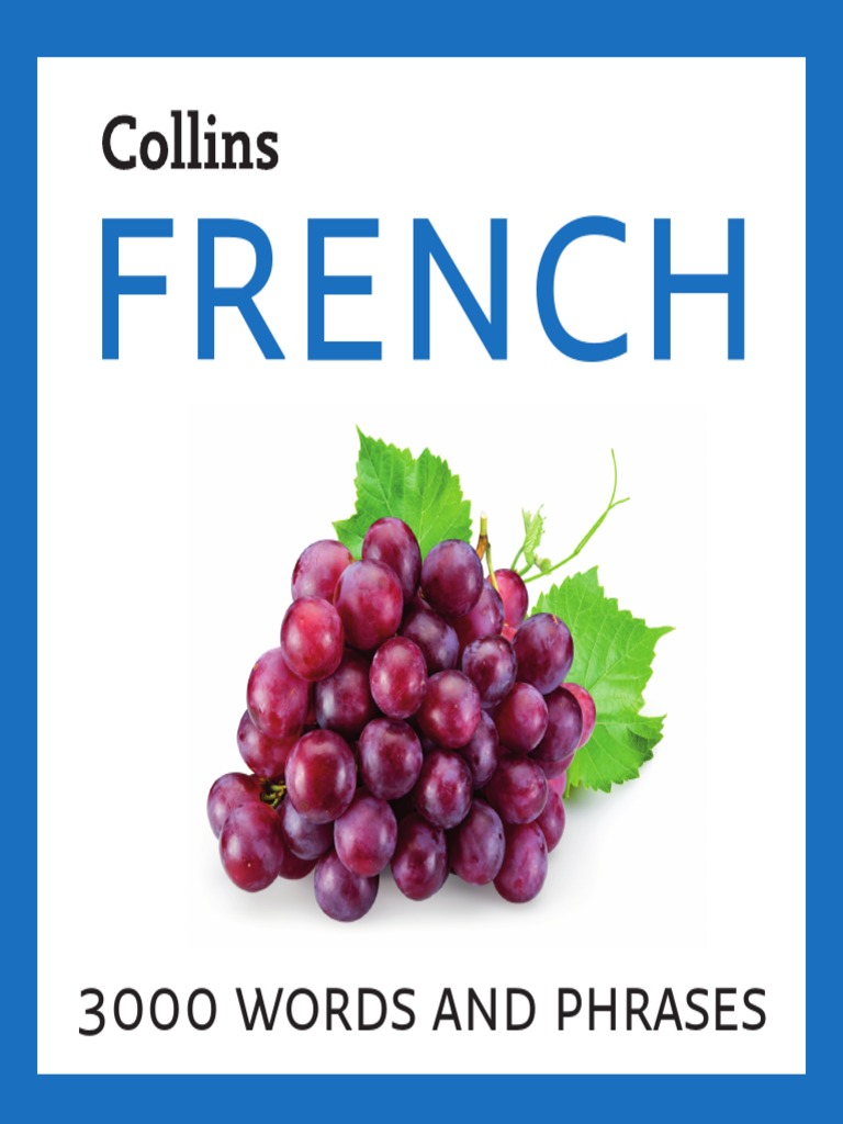 Collins French 3000 Words and Phrases | PDF | Grammatical Gender | Baggage