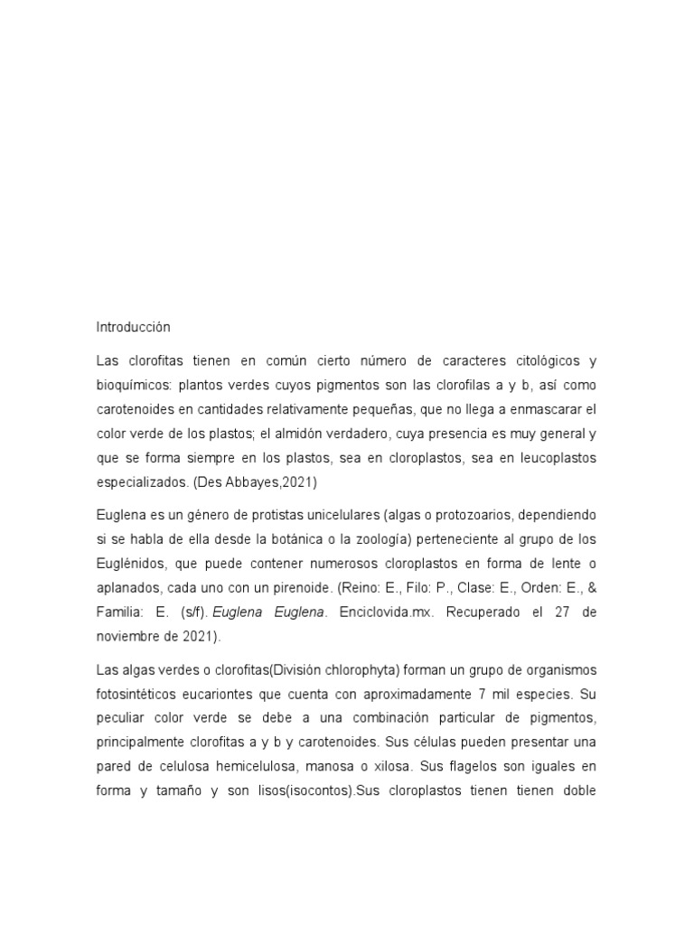 Botanica-Clorofitas Euglenas | PDF | Algas | Cloroplasto