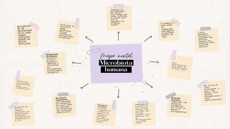 Mapa Mental Microbiota Humana | PDF | Patógeno | Biologia