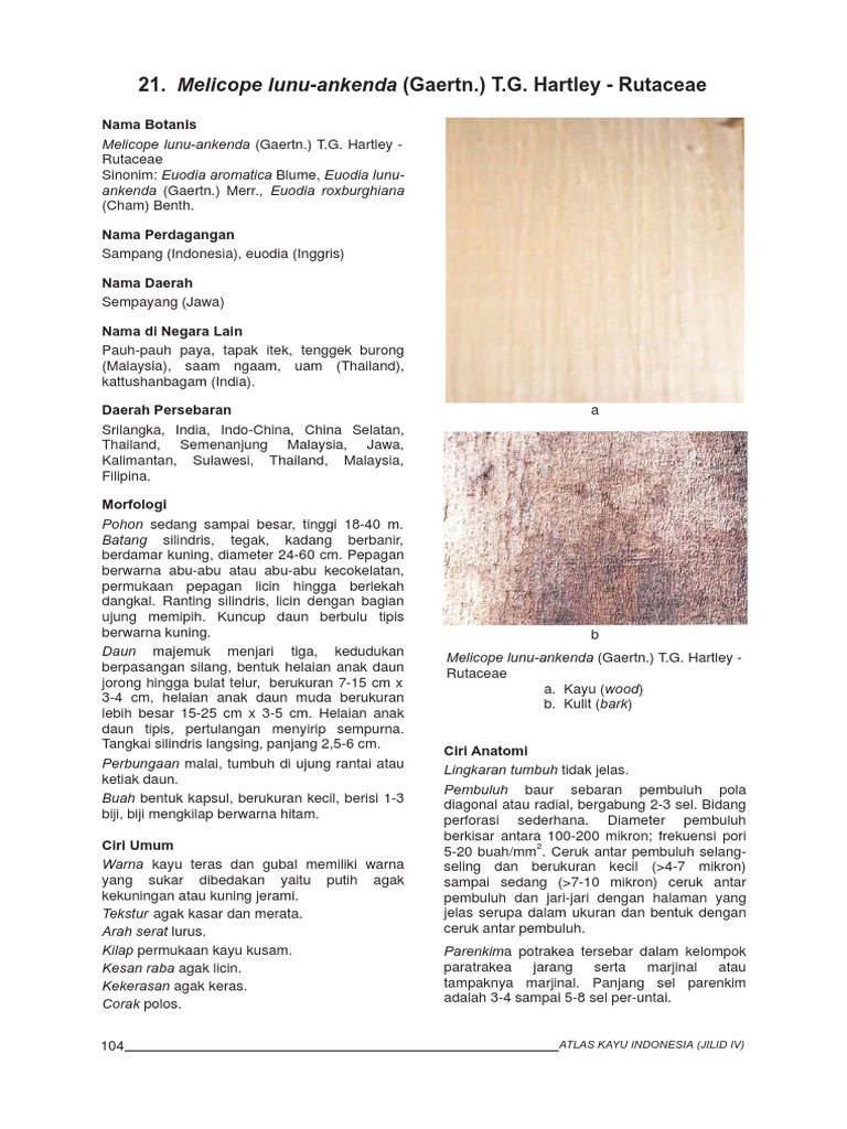 Atlas Kayu Indonesia Jilid IV-Risalah3 | PDF