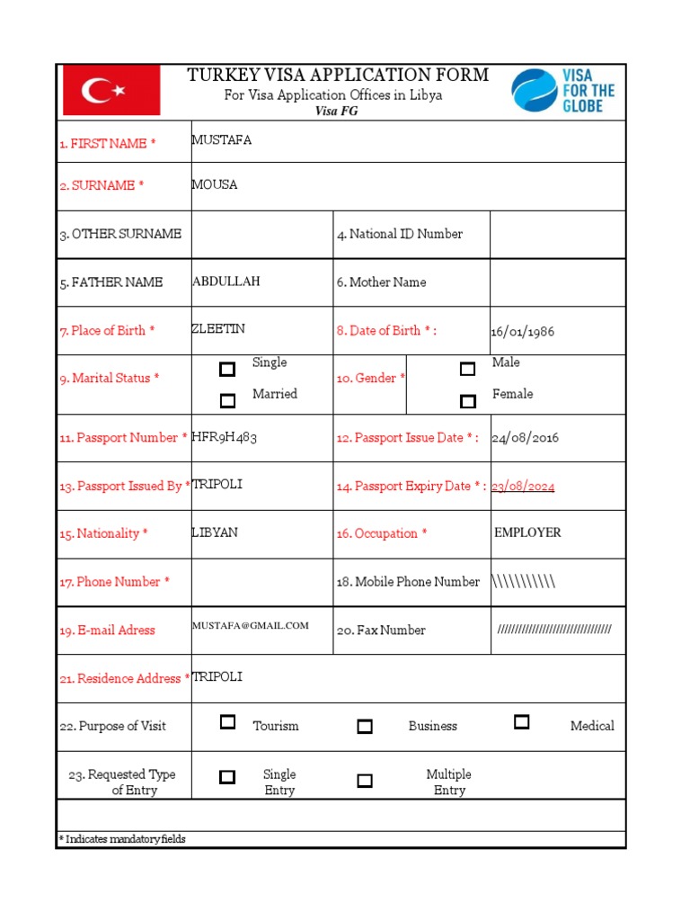 Turkey Visa Application Form | PDF | Travel Visa | Passport