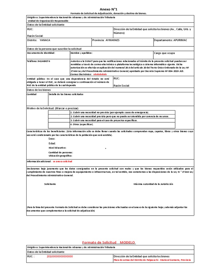 Formato Aduanas | PDF | Gobierno local