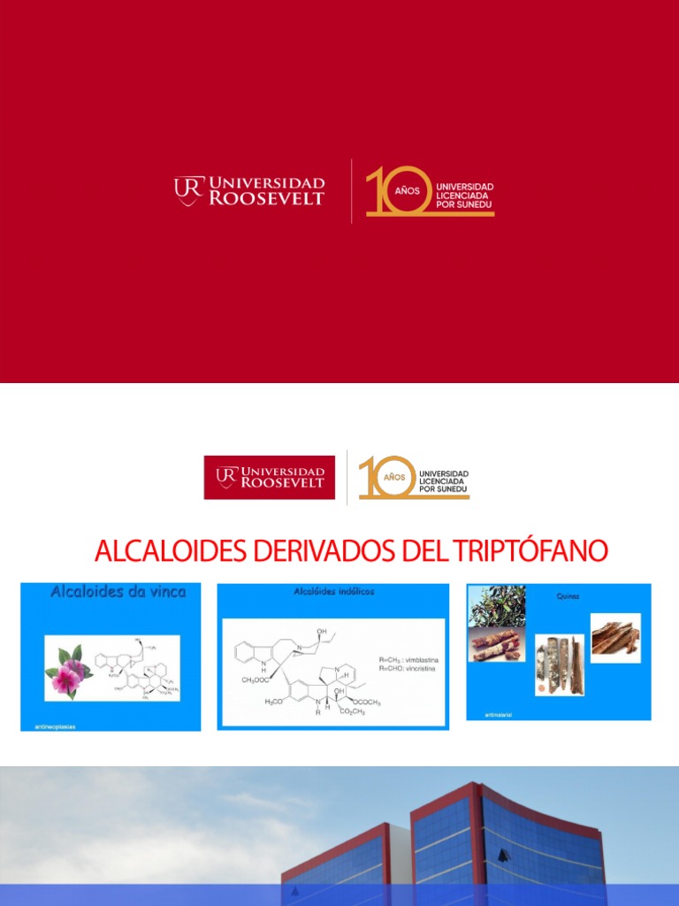 Alcaloides Derivados Del Triptofano | PDF | Ciencia y matemáticas