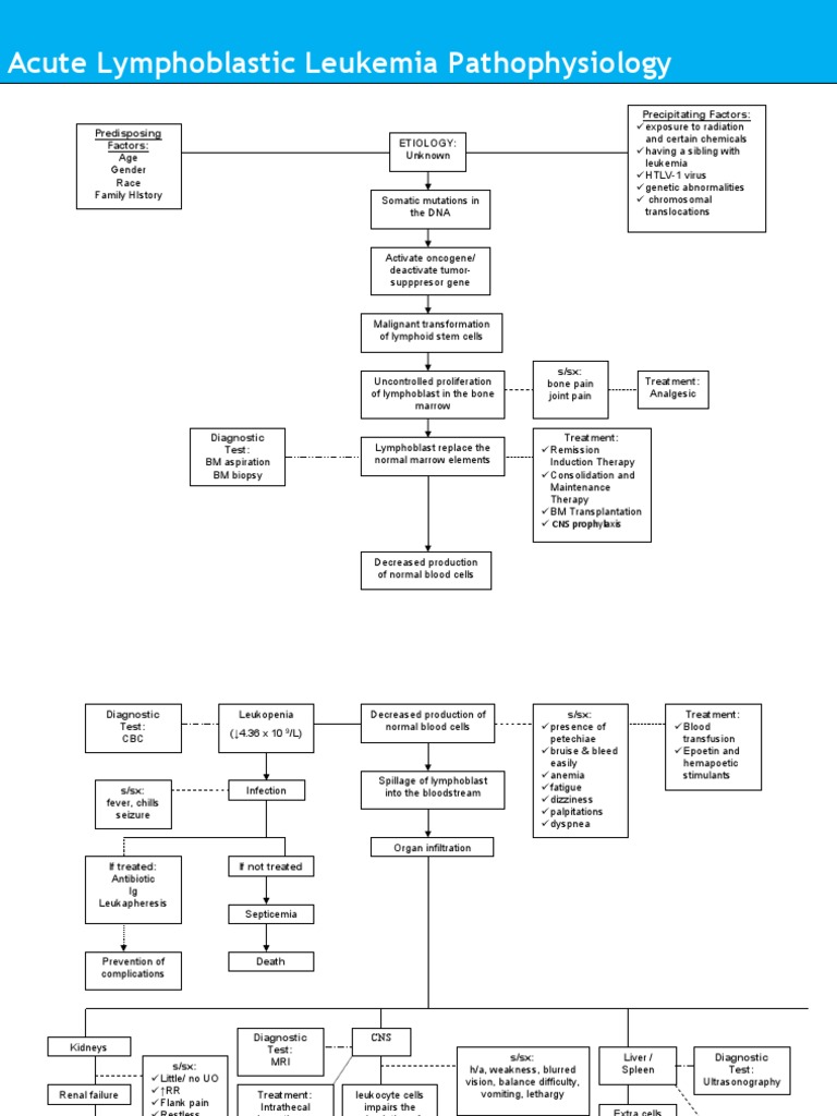Acute Lymphoblastic Leukemia Pathophysiology Diagram | PDF | Leukemia ...
