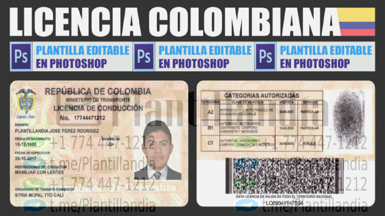 Plantilla de Licencia Colombiana para Editar | PDF