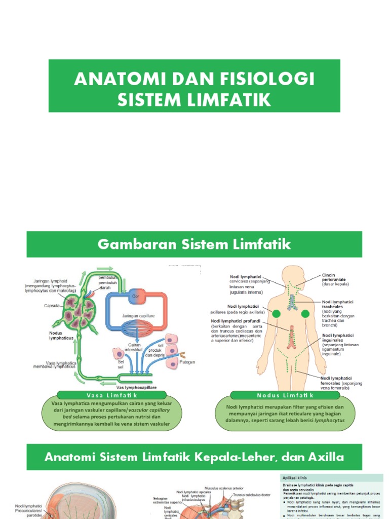Li 1 - Anatomi Dan Fisiologi Sistem Limfatik | PDF