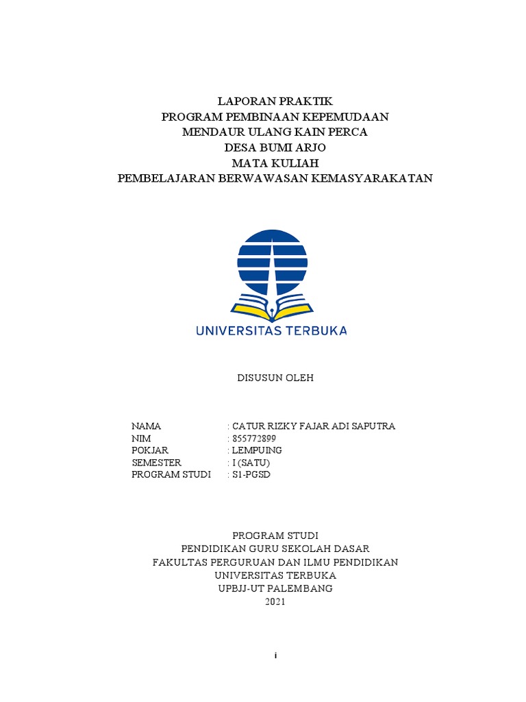 PBK Laporan Kepemudaan | PDF