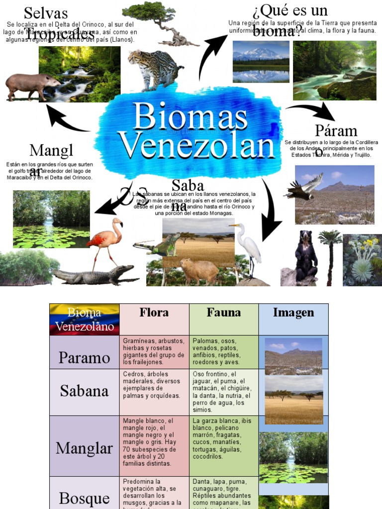 Biomas de Venezuela: Características y Fauna | PDF | Venezuela | Andes