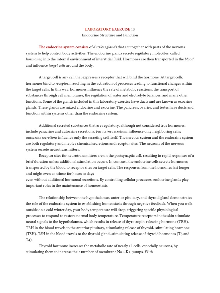 Laboratory Exercise 13 | PDF | Endocrine System | Pancreas