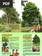 Pili Production Guide - Pili Farming - Business Diary PH | PDF | Trees ...