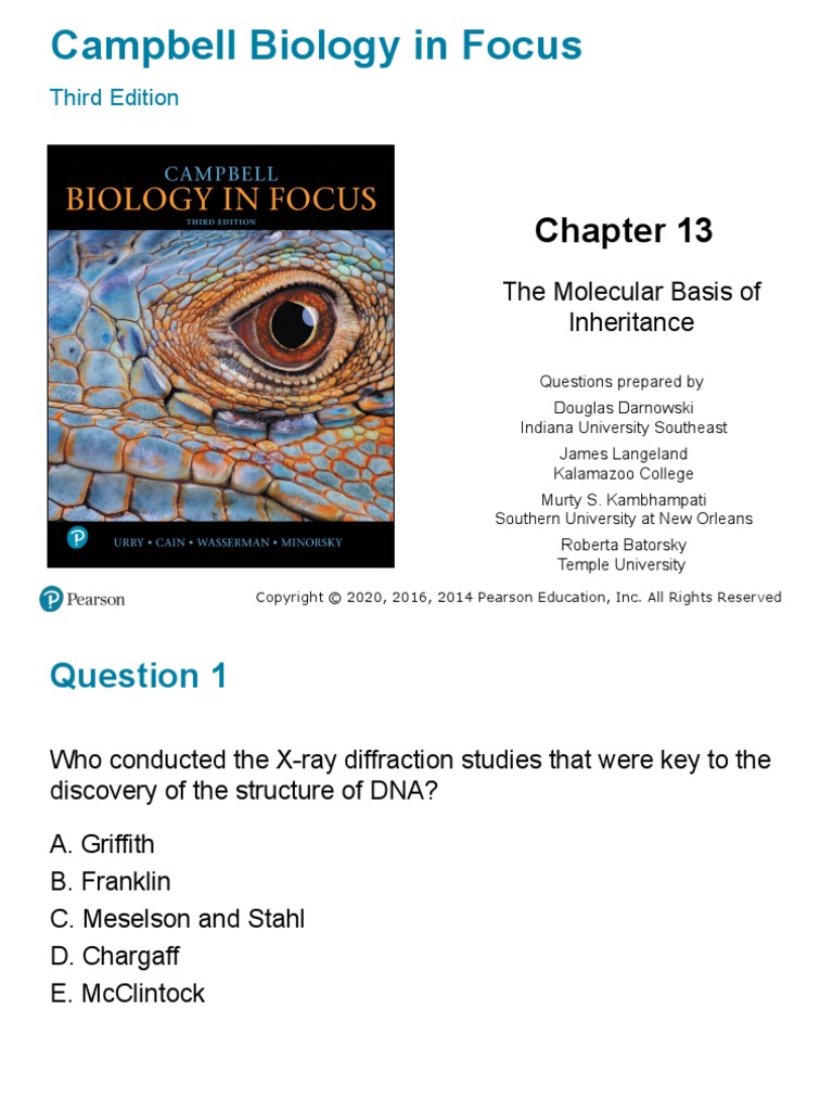 Bio 131 CH 13 Exam 4 Review - Clicker - Ppts - Fa2021 | PDF | Dna ...