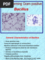 Spore vs Cyst in Bacteria Explained | PDF | Bacteria | Microbiology
