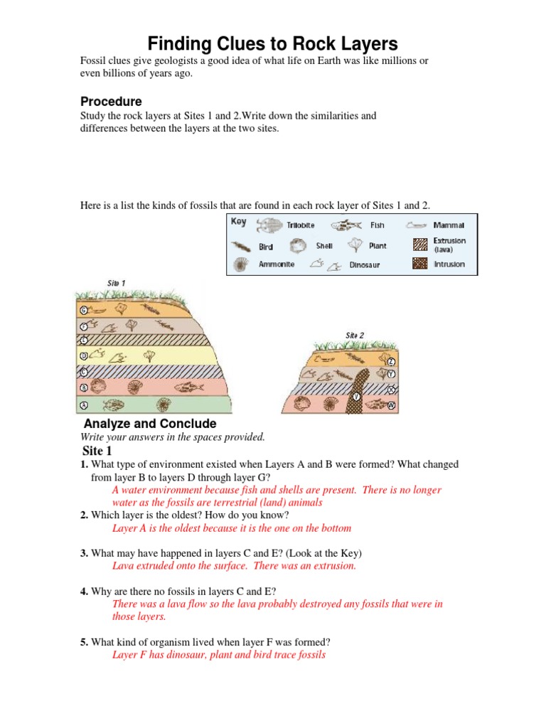 Analyzing Fossil Clues in Rock Layers | PDF