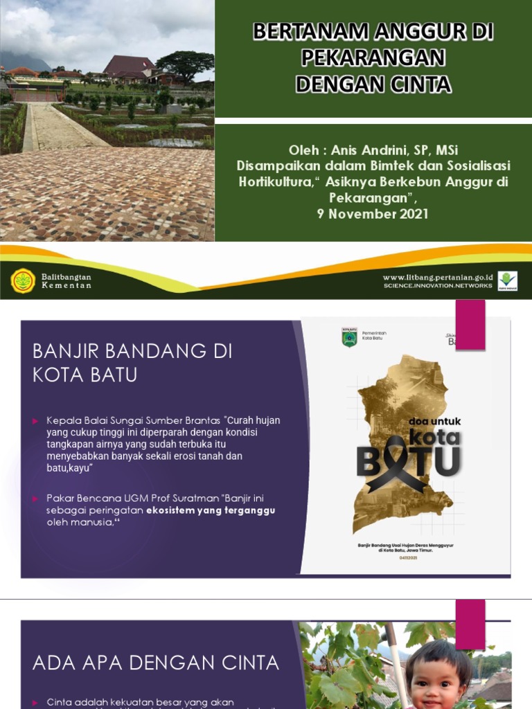 Balitjestro - Bertanam Anggur Di Pekarangan Dengan Cinta | PDF | Griya ...