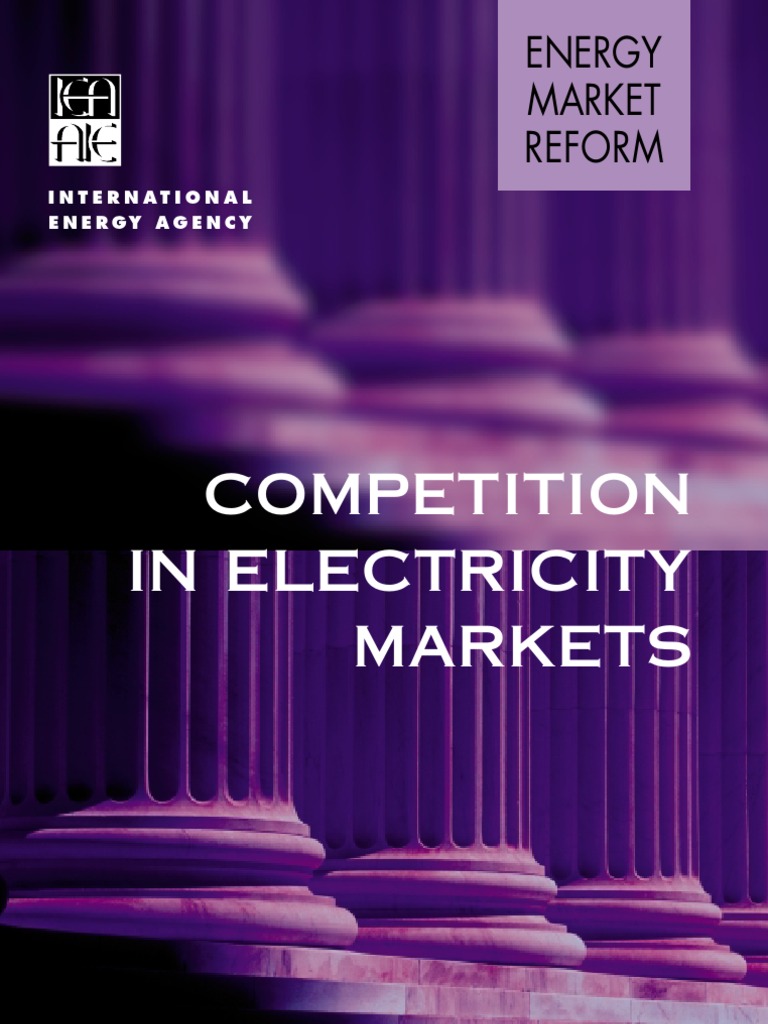 Competition in Electricity Markets | PDF | Electrical Grid ...