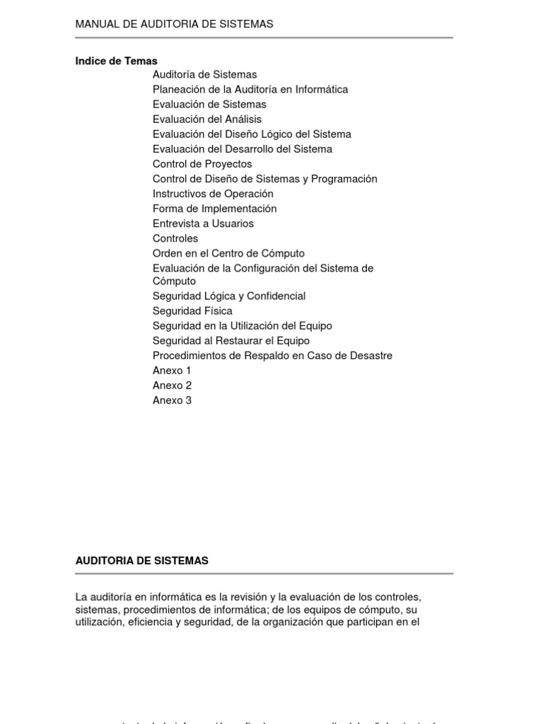 Libro de Auditoria | PDF | Planificación | Archivo de computadora