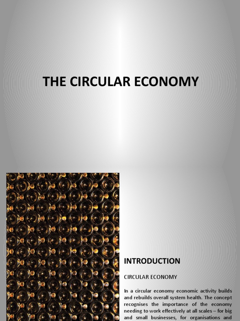 The Circular Economy | PDF | Recycling | Waste