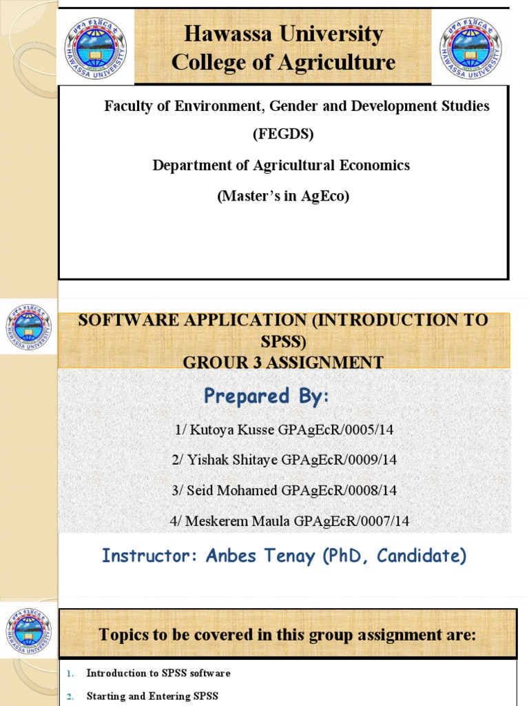 11SPSS - Introduction Group Work | PDF | Spss | Microsoft Excel