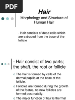 Colorimetric | PDF | Color | Hair
