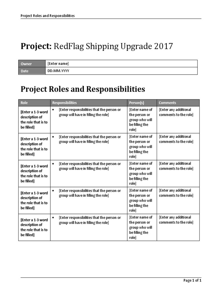 TT-10256 Project Roles and Responsibilities Chart | PDF
