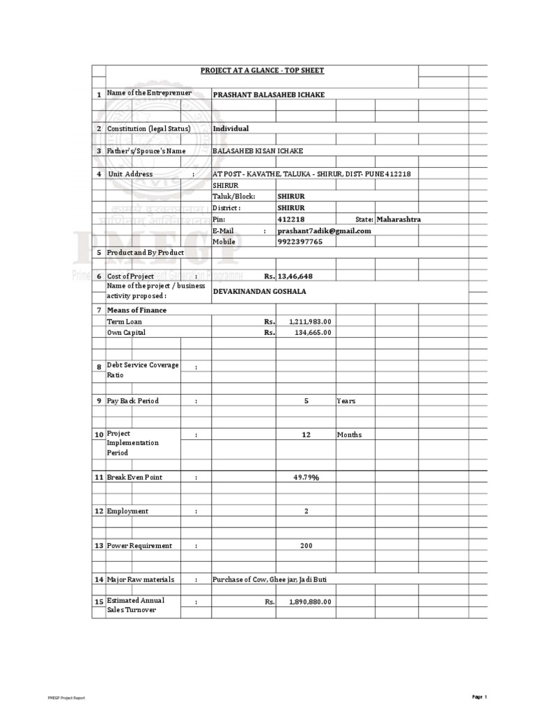 PMEGP Project Report | PDF | Business Economics | Financial Services