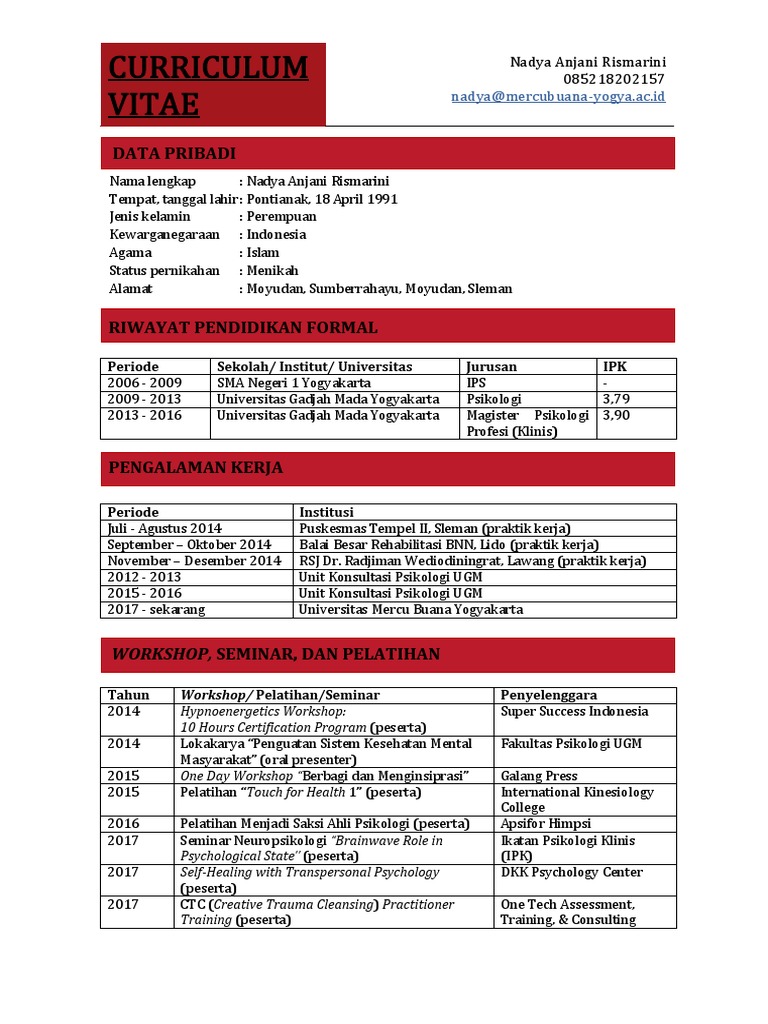 CV All Narsum Workshop | PDF