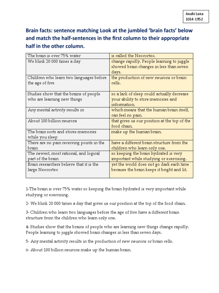 Match The Sentences | PDF | Brain | Memory