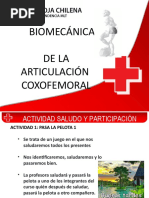 Articulación Coxofemoral Cuadro Integrador | PDF | Rodilla | Cadera
