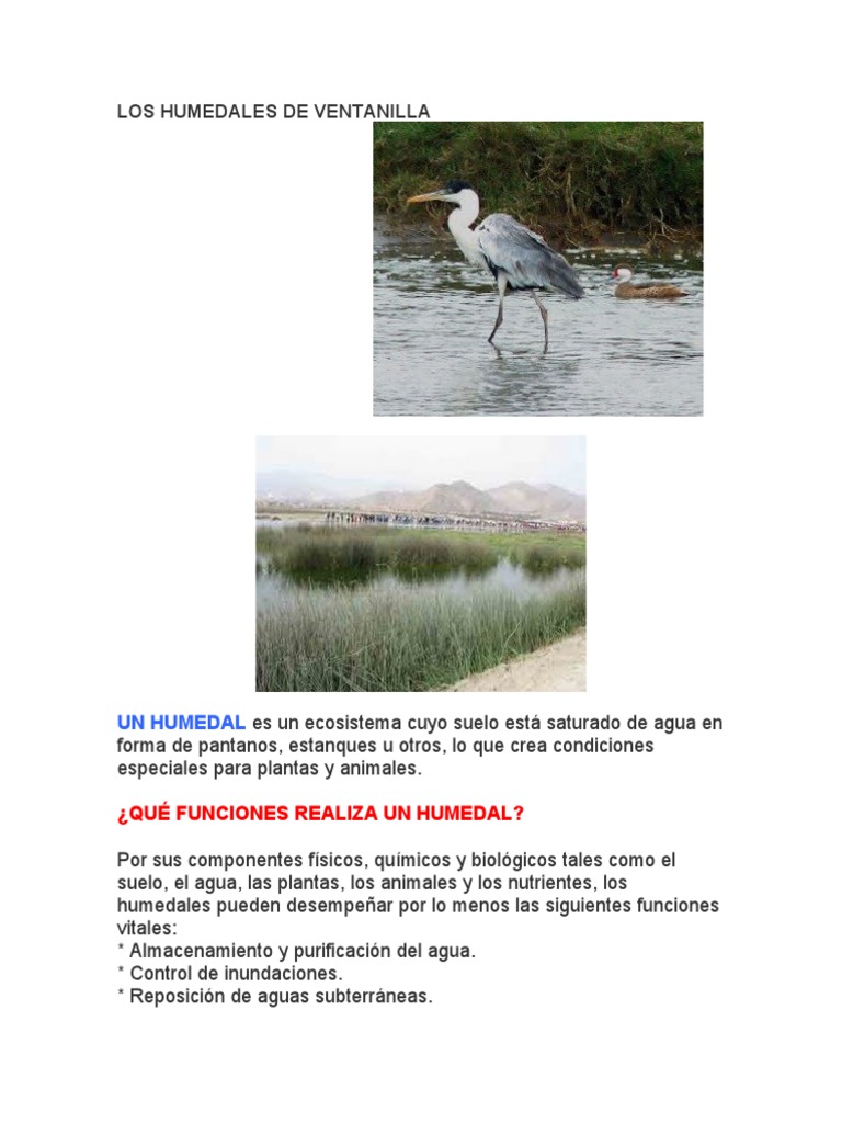 Lecturas 2021 | PDF | Humedal | Agua