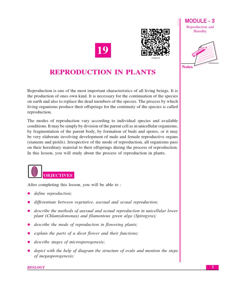 Reproduction in Plants: Module - 3 | PDF | Sexual Reproduction | Spore