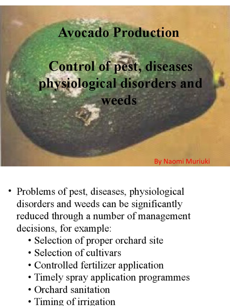 Integrated Pests and Disease Management of Avocado | PDF | Pest ...