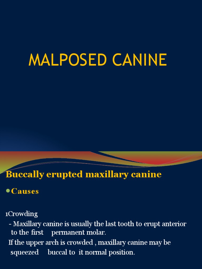 Malposed Canine | PDF